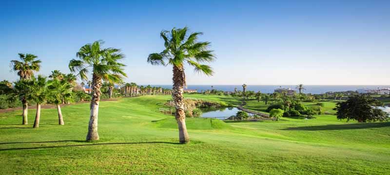 Golf del Sur holidays - Book your Tenerife holiday today